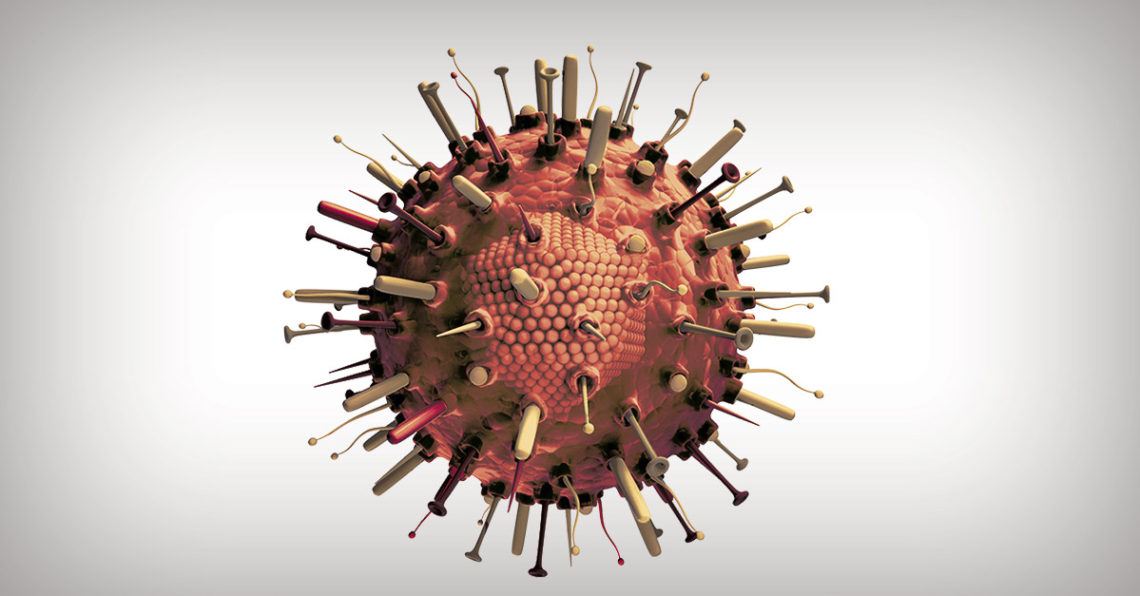 PRRS virus & Semen quality: Can it decrease after vaccination?