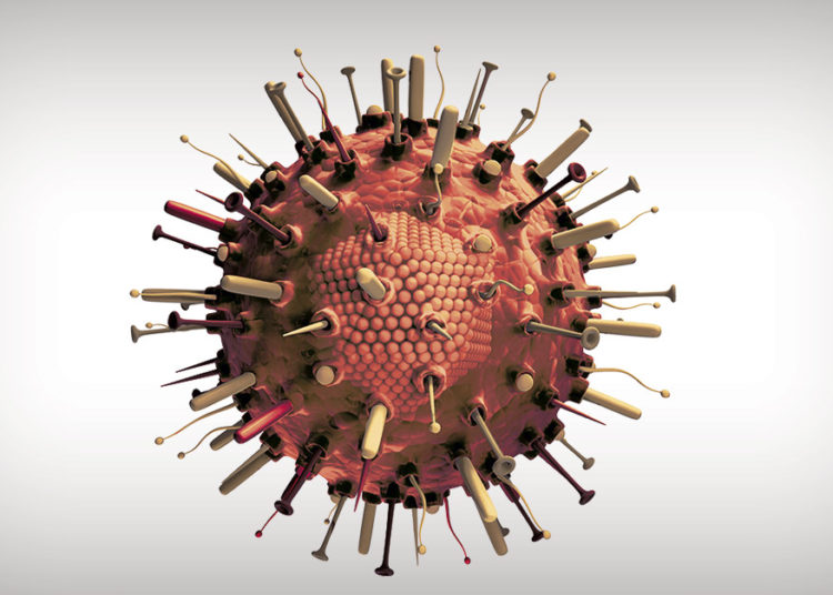 Porcine Reproductive and Respiratory Syndrome | PRRS Control